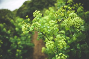 Rebecca & Mark’s Wedding at St Enodoc’s Church, Trebetherick | Alan Law ...