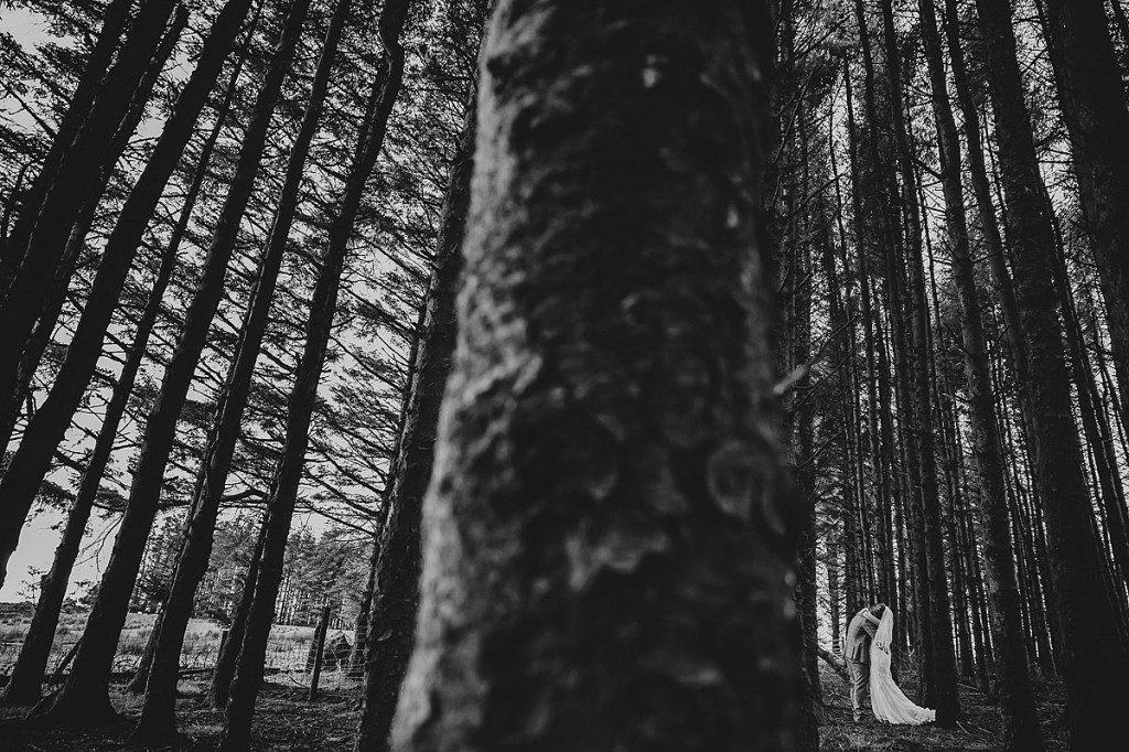 Best of 2014 - Alan Law Photography